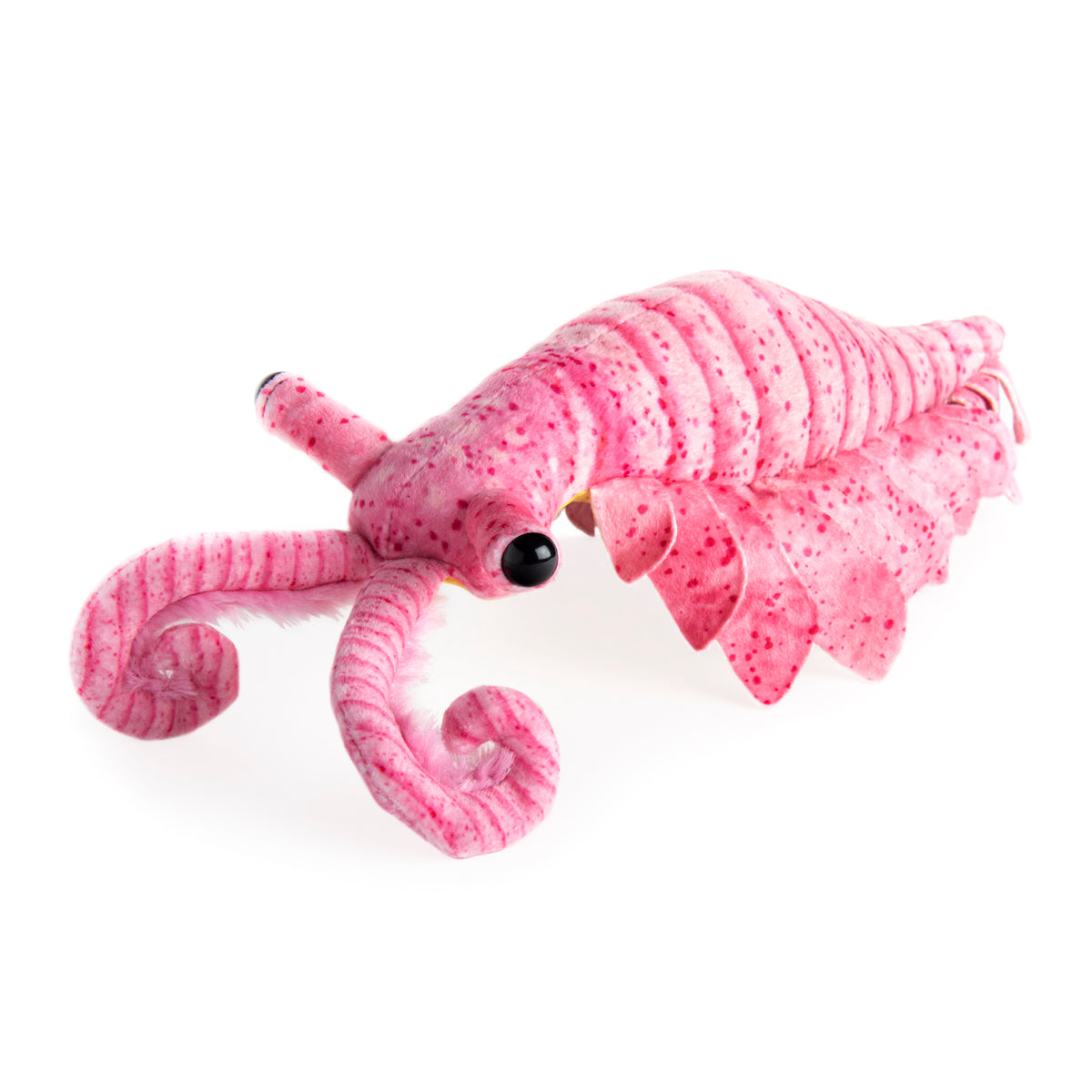 Anomalocaris Stuffed Animal – Royal Tyrrell Museum
