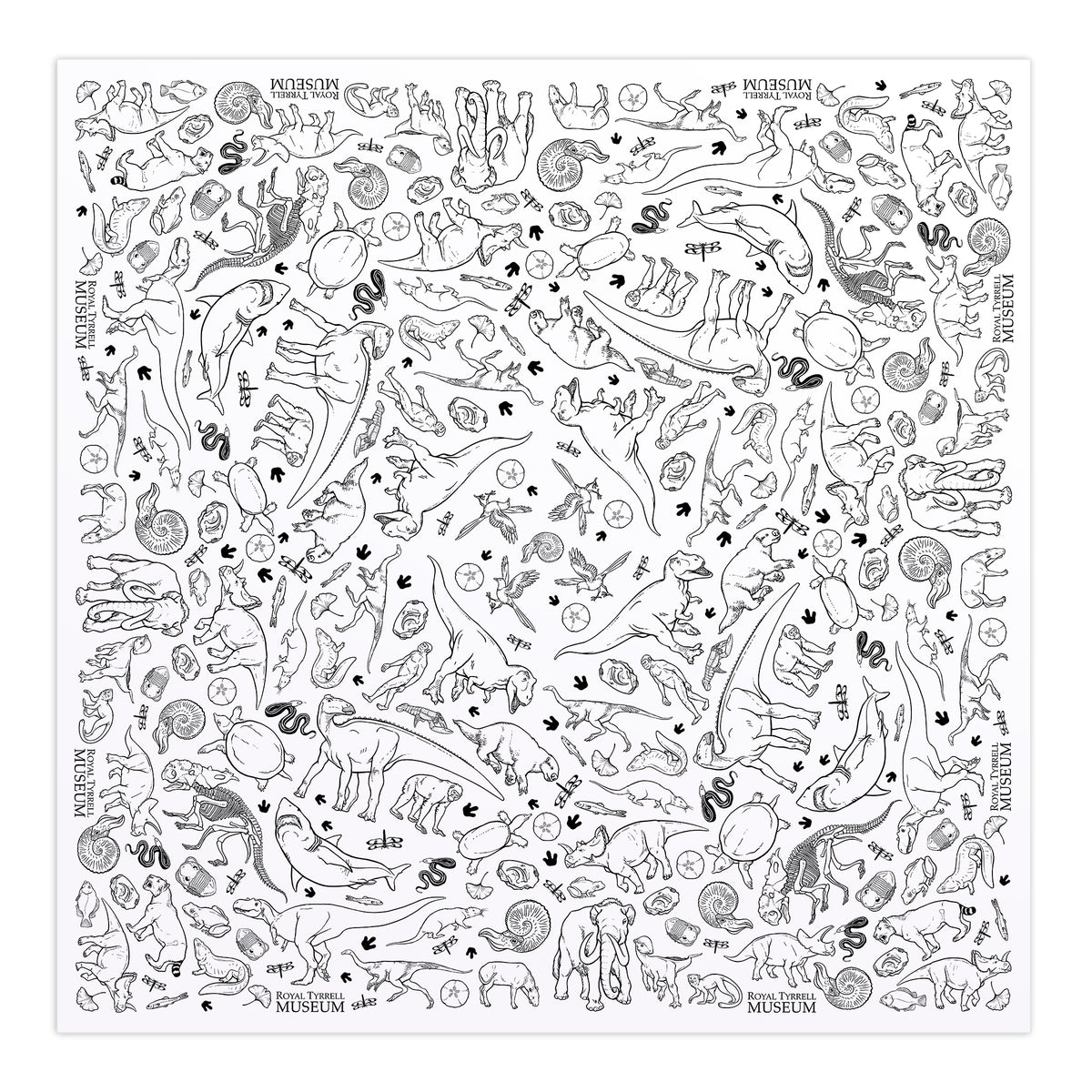 Alberta Fossils Colourable Tablecloth – Royal Tyrrell Museum